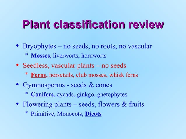 Seedless vascular plants | PPT