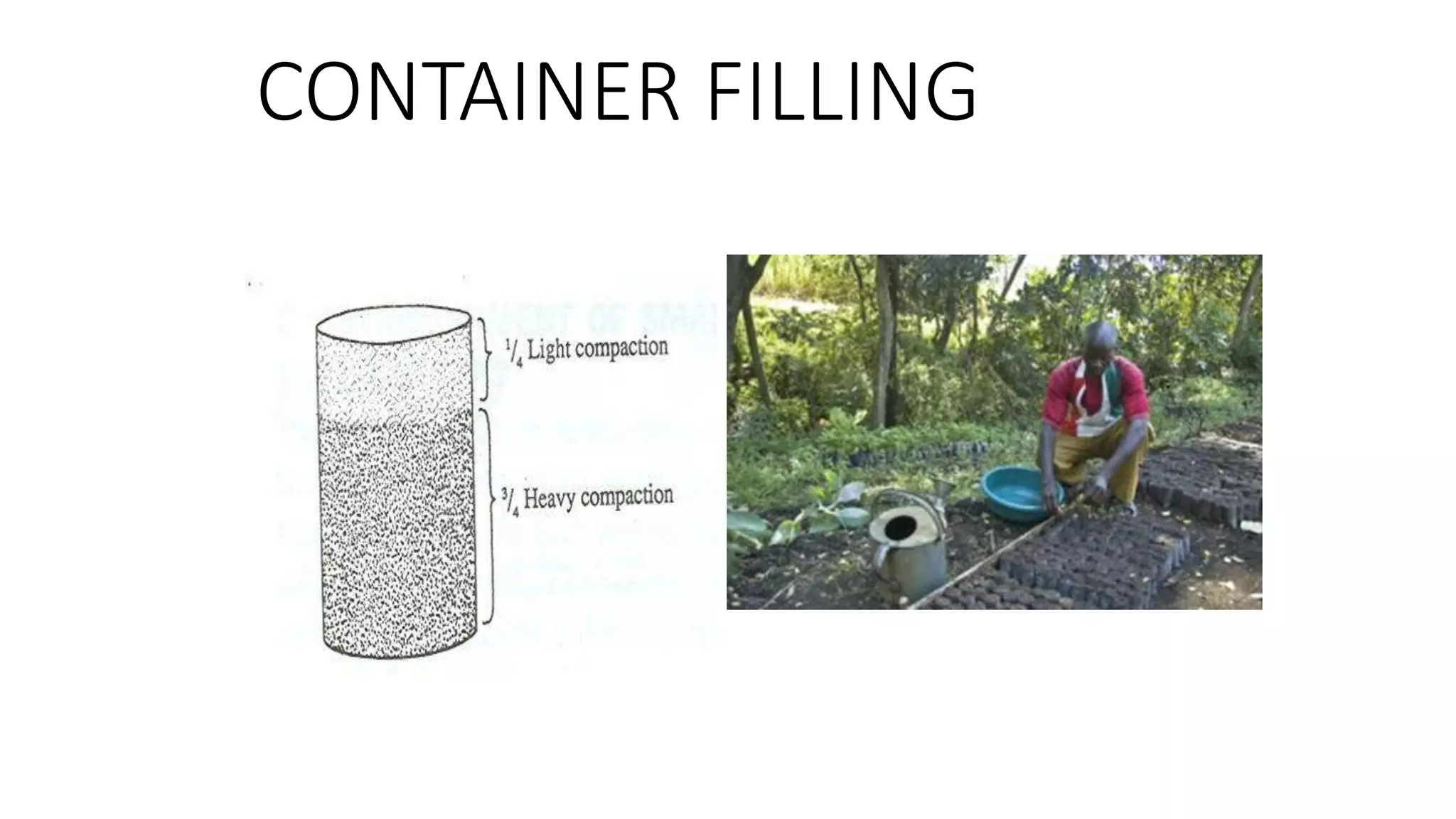 SEEDLING RAISING METHODS DAY 3.pptx