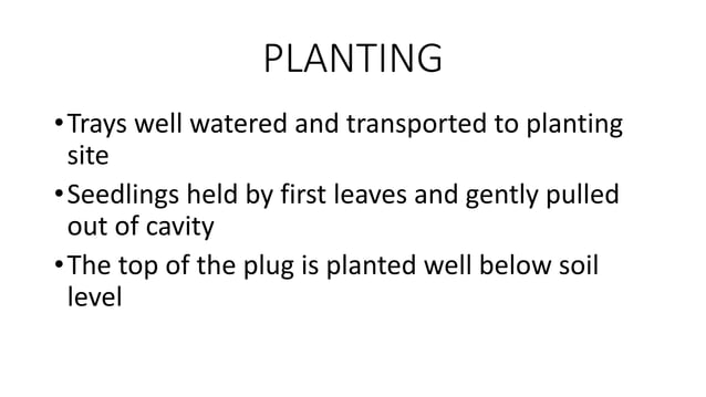 SEEDLING RAISING METHODS DAY 3.pptx | Gardening | Home & Garden