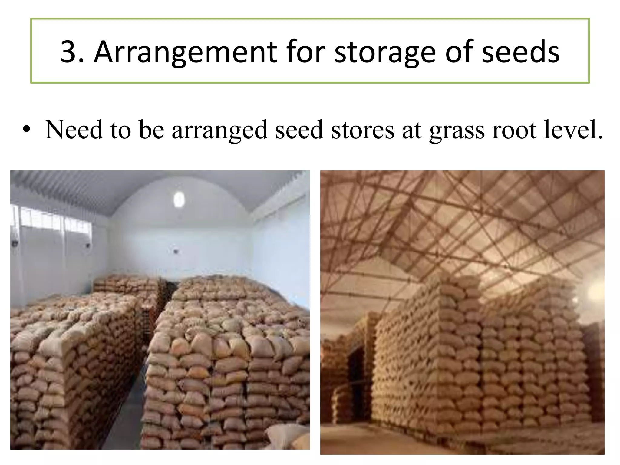 Seed marketing | PPTX