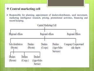 Seed Marketing, structure of essential marketing cell and major ...