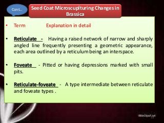 Seed maturation in mustard | PPT