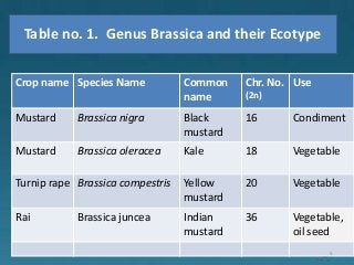 Seed maturation in mustard | PPTX