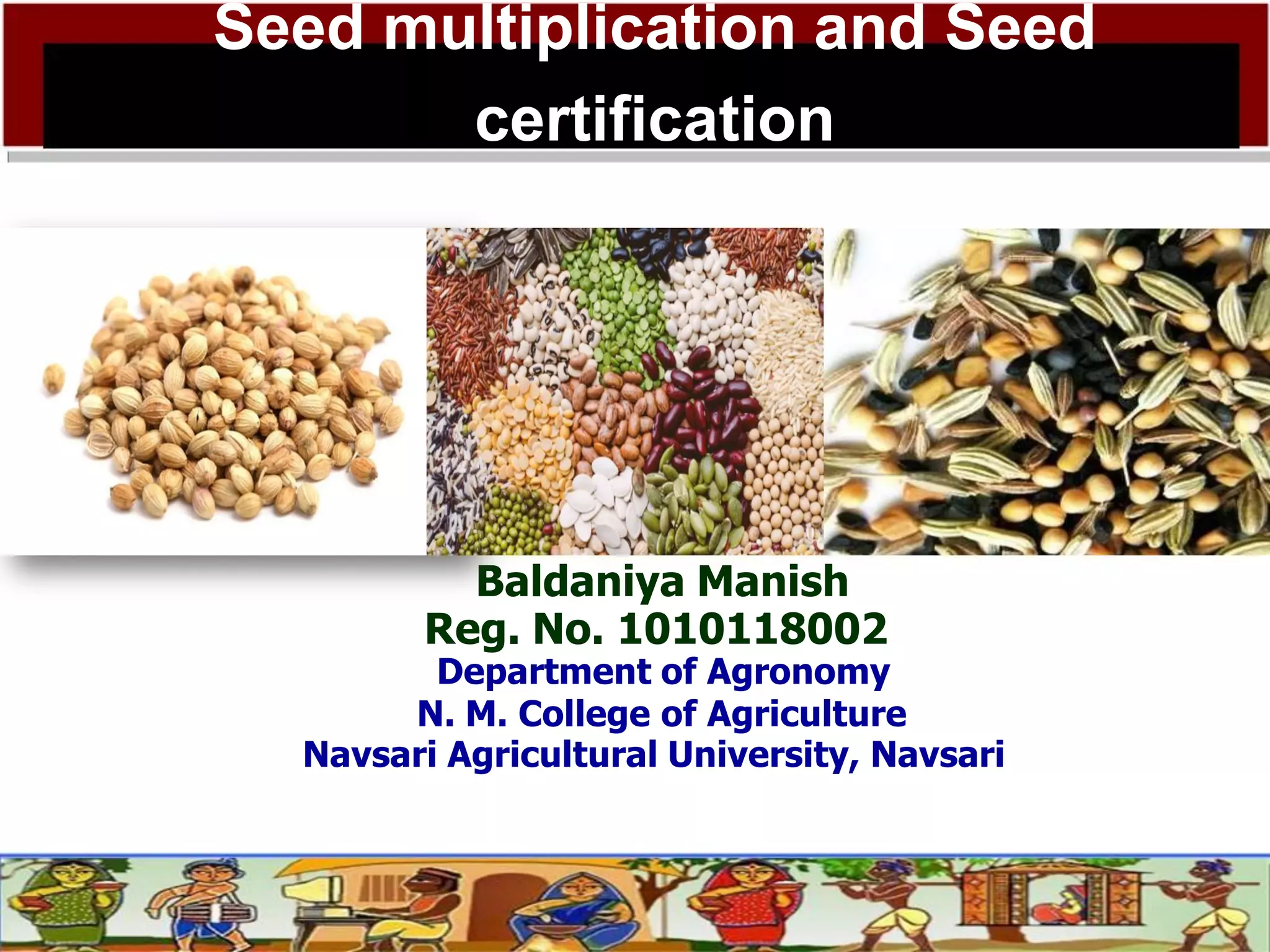 Seed multiplication | PDF