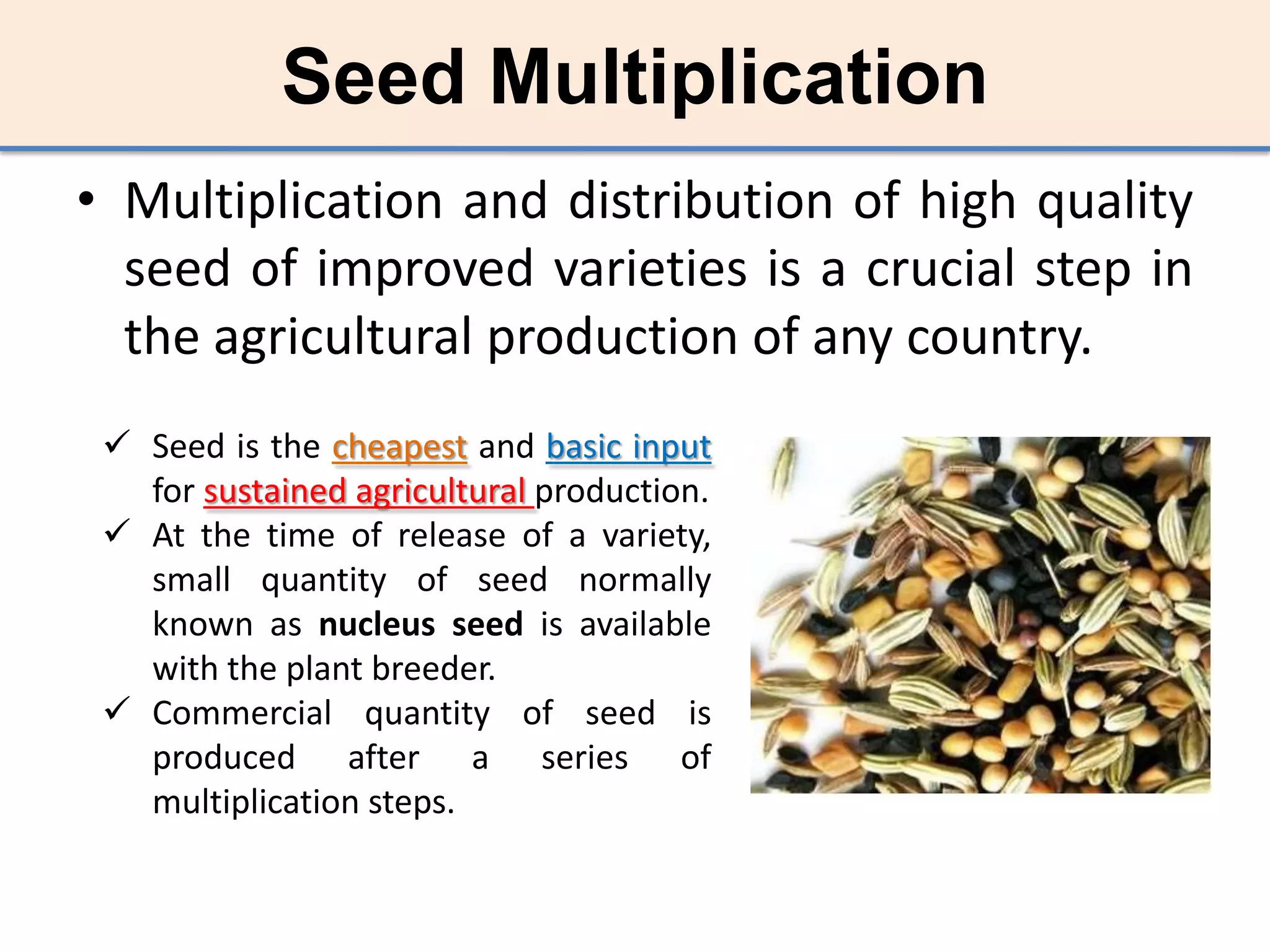 Seed multiplication | PDF