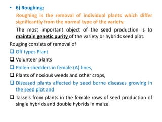 Seed multiplication | PDF