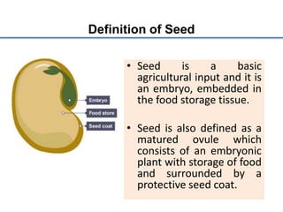 Seed multiplication | PDF