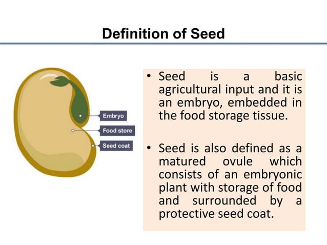 Seed multiplication | PDF | Agriculture | Industries
