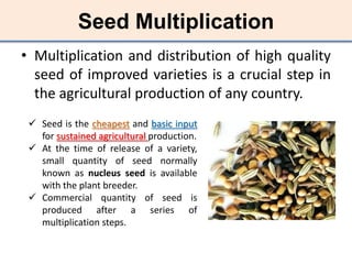 Seed multiplication | PDF