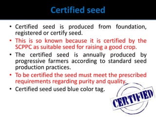 Seed multiplication | PDF