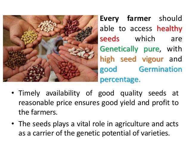Seed Multiplication