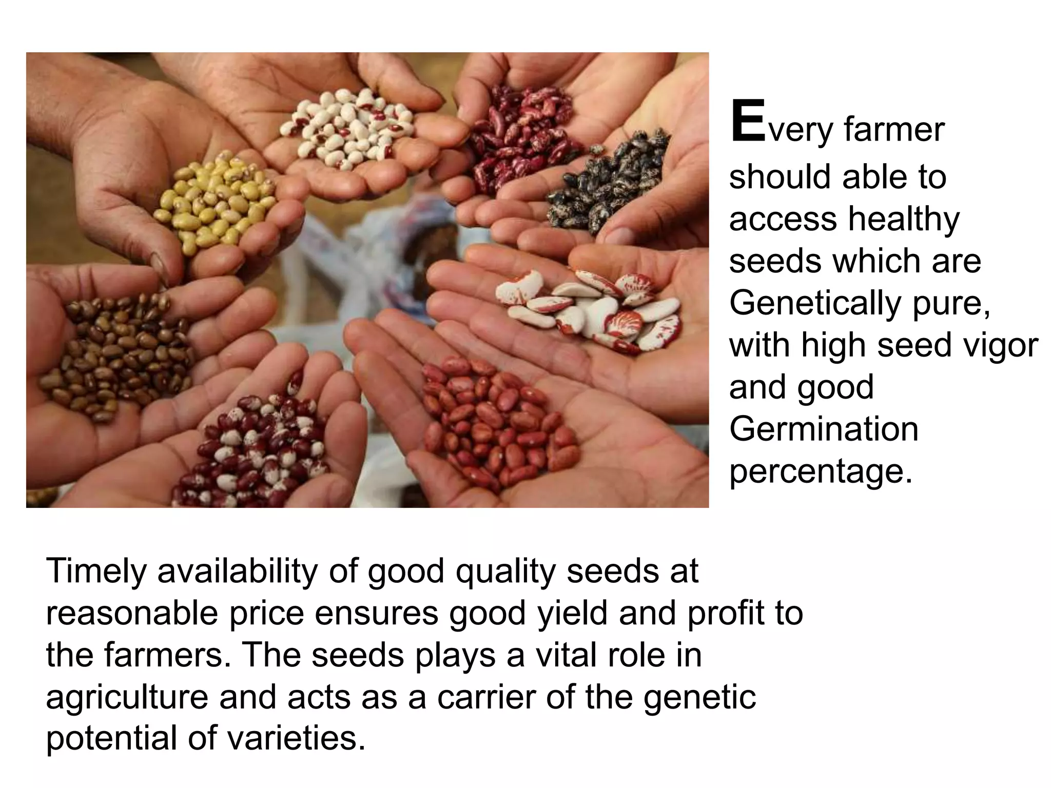 Seed multiplication | PPTX