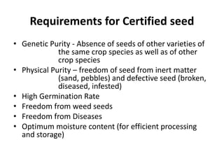 Seed multiplication | PPTX