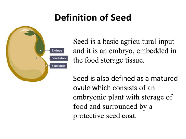 Seed multiplication | PPTX | Agriculture | Industries