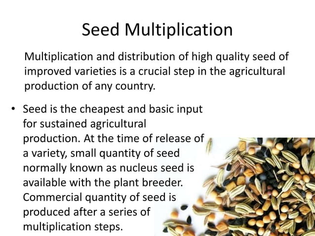 Seed multiplication | PPTX | Agriculture | Industries