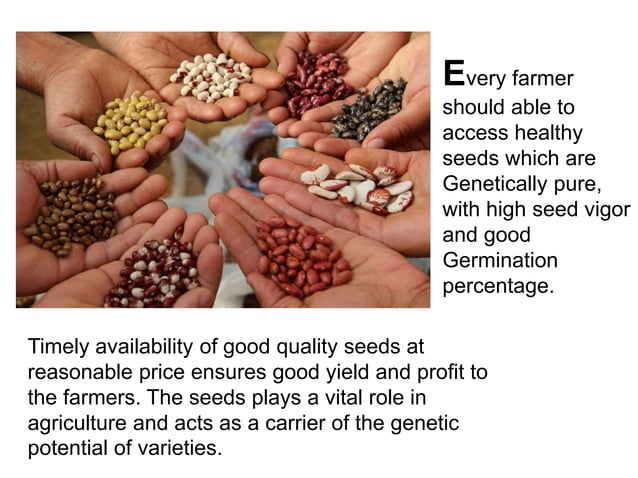 Seed Multiplication Seed Multiplication