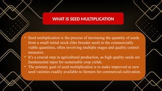 seed multiplication bm.pptx cskhpkv palampur | PPTX