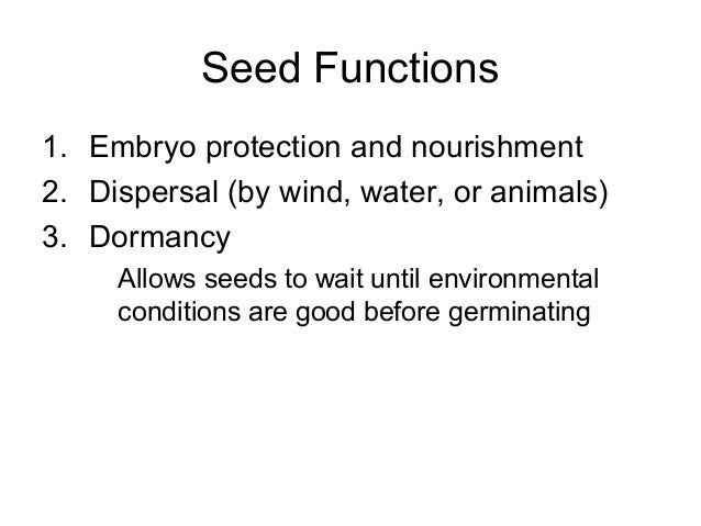 Seed notes