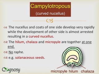 Seeds : nux vomica , linseed & castor | PPTX