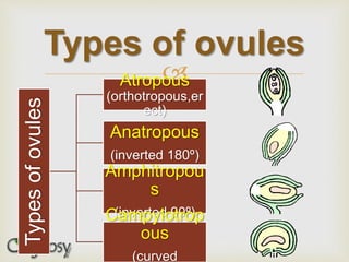 Seeds : nux vomica , linseed & castor | PPTX