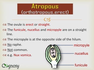 Seeds : nux vomica , linseed & castor | PPTX