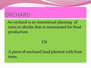Seed orchard | PPTX