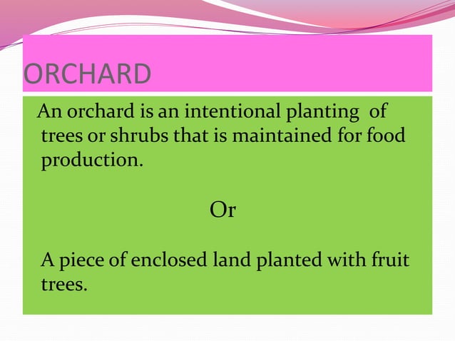 Seed orchard | PPTX | Agriculture | Industries