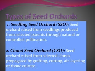 Seed orchard | PPTX