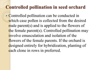 Seed orchard establishment and management shambhu tiwari | PPTX