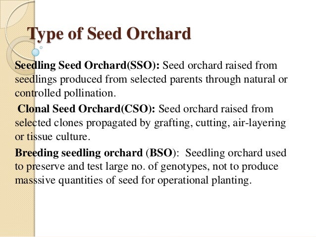 Seed orchard establishment and management shambhu tiwari