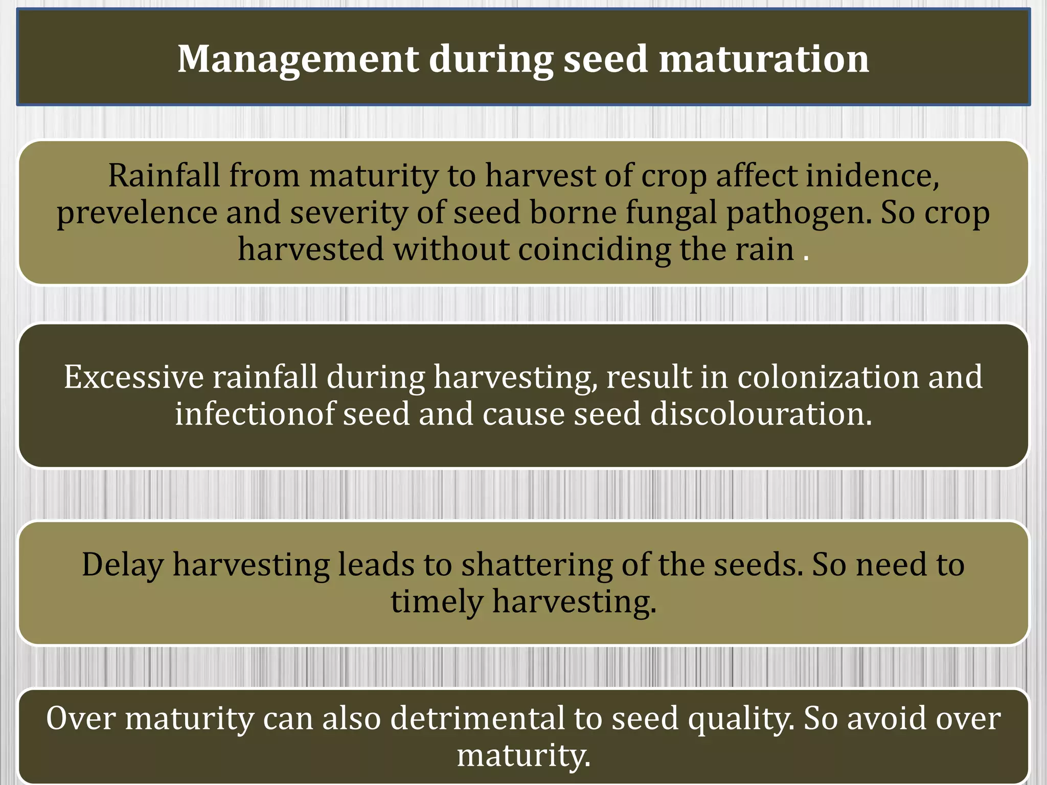 management practices for diseases free seed production | PPTX