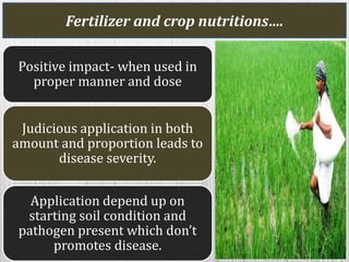 management practices for diseases free seed production | PPTX