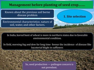 management practices for diseases free seed production | PPTX