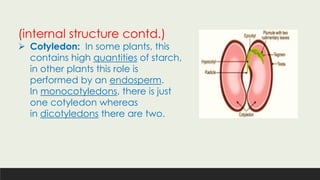 Seed pdf | PDF