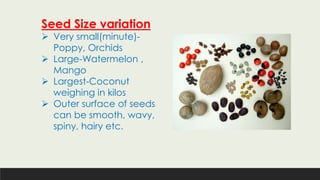 Seed pdf | PDF