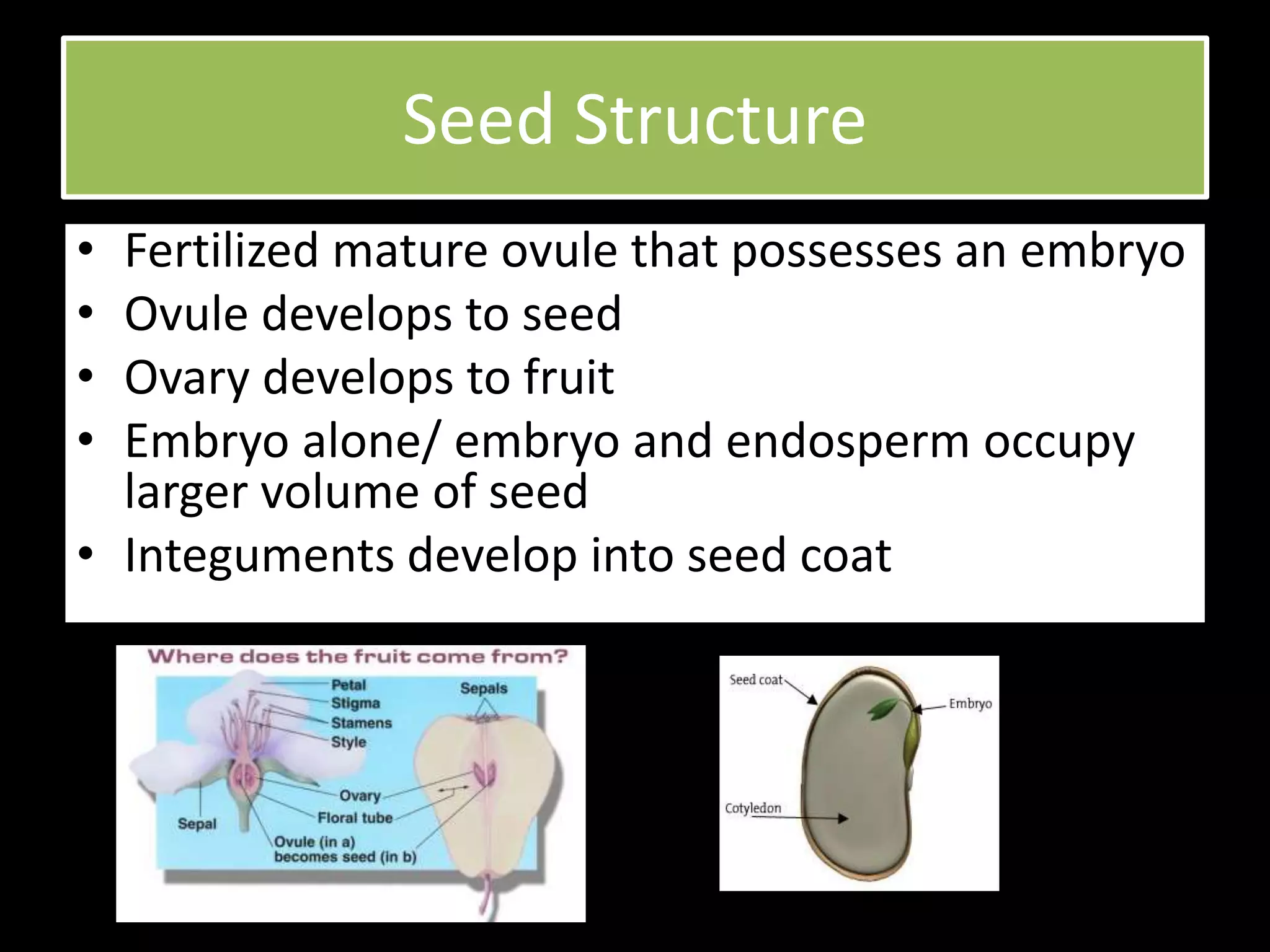 Seed physiology and genetics | PPTX