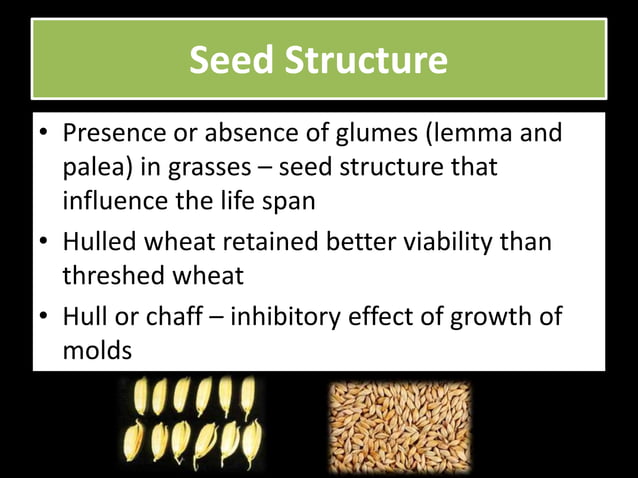 Seed physiology and genetics | PPTX