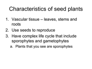 Seed plants characteristics | PPT