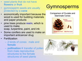 Seed Plants Notes | PPT