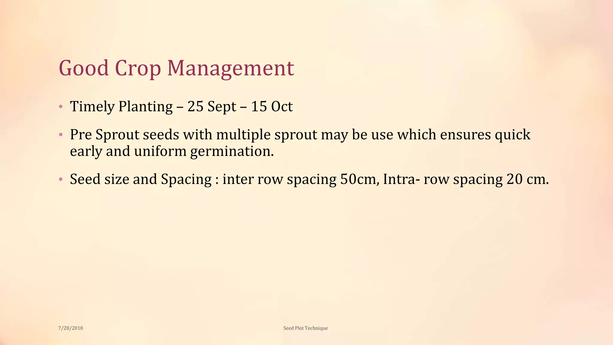 Seed plot technique in Potato | PPTX