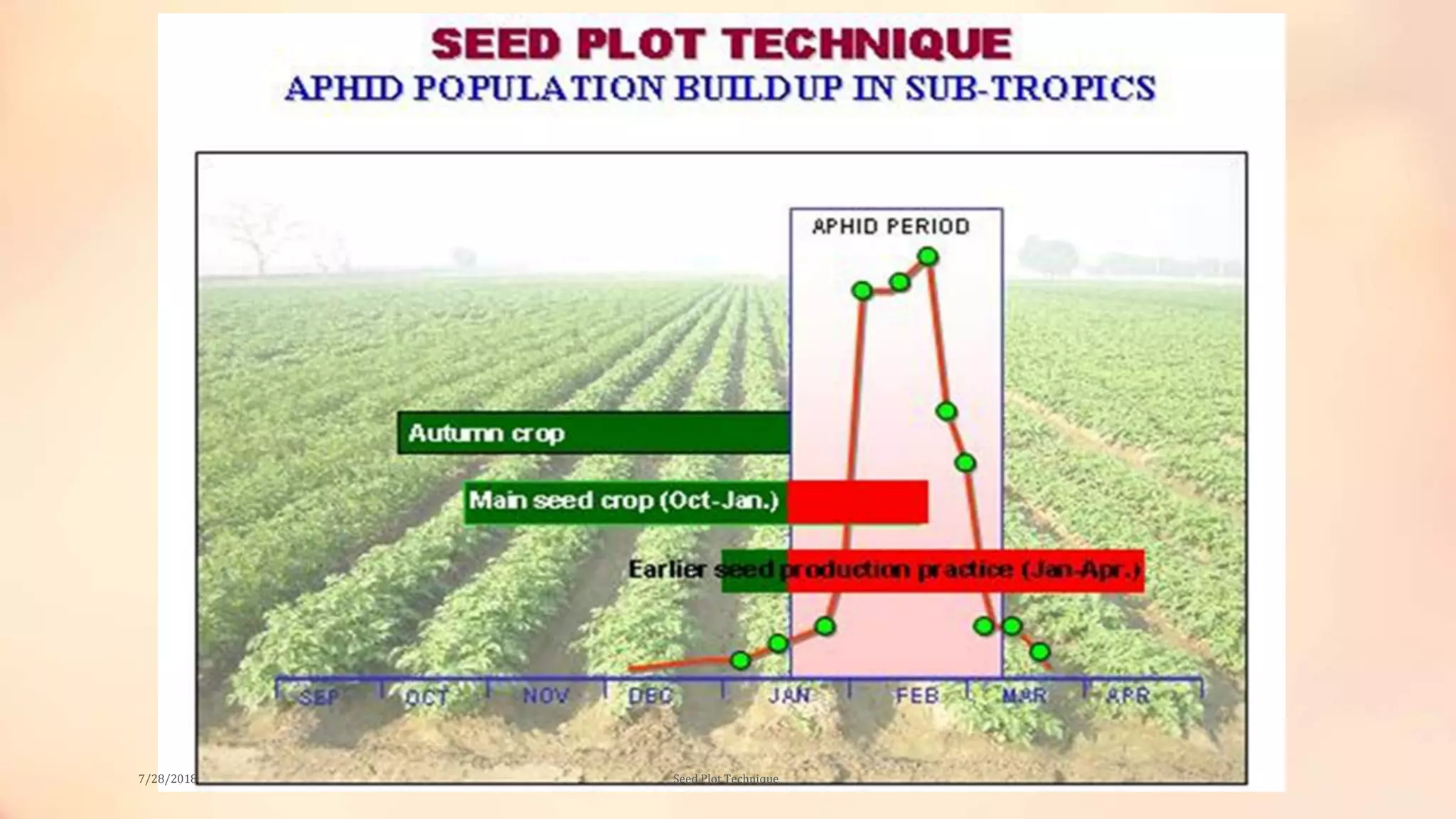 Seed plot technique in Potato | PPTX
