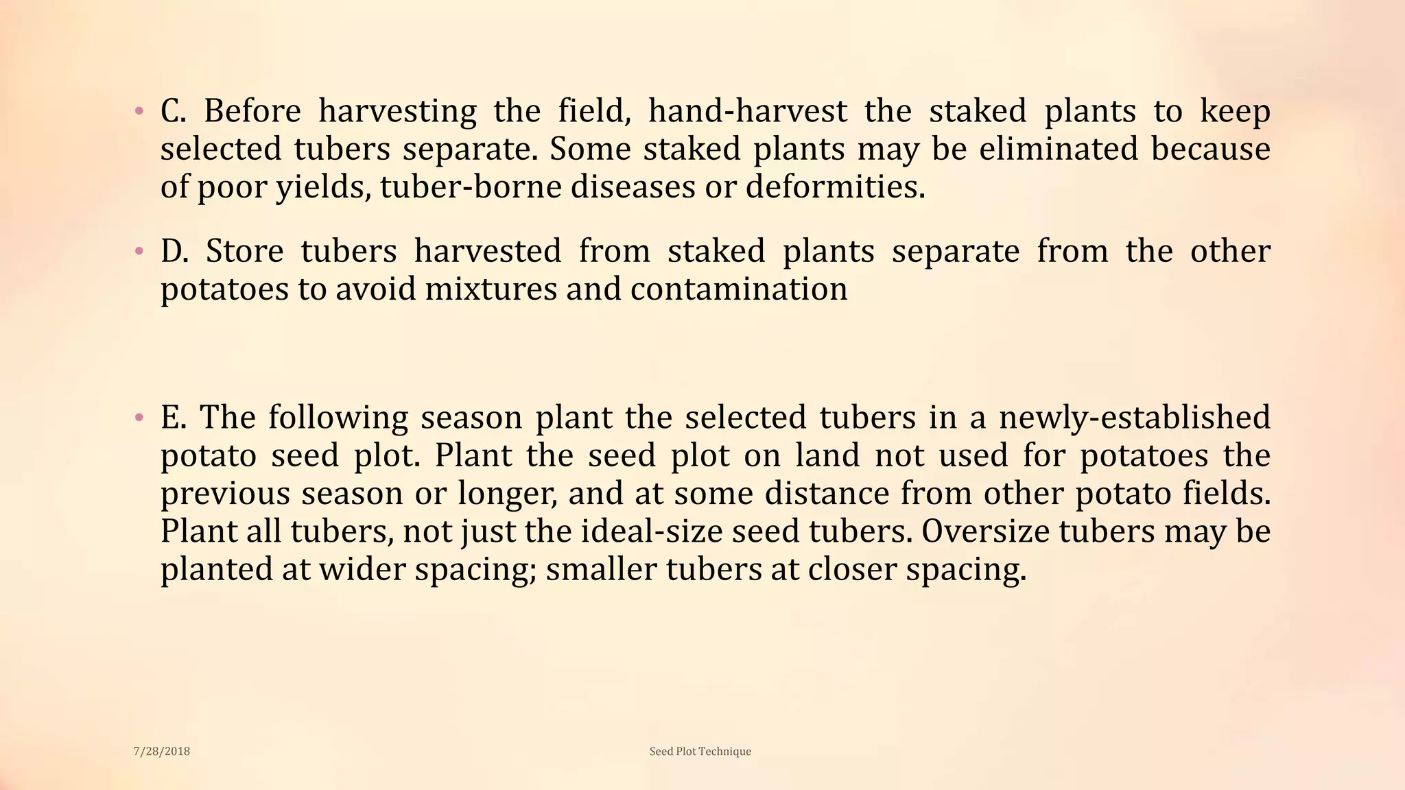 Seed plot technique in Potato | PPTX