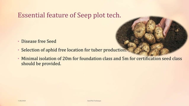 Seed plot technique in Potato | PPTX | Agriculture | Industries