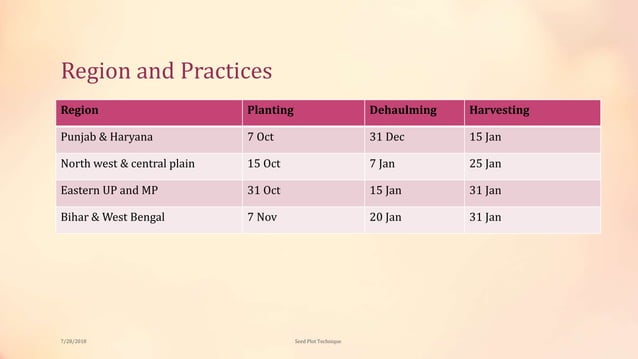 Seed plot technique in Potato | PPTX | Agriculture | Industries