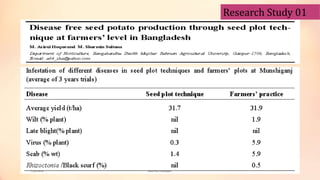 Seed plot technique in Potato | PPTX
