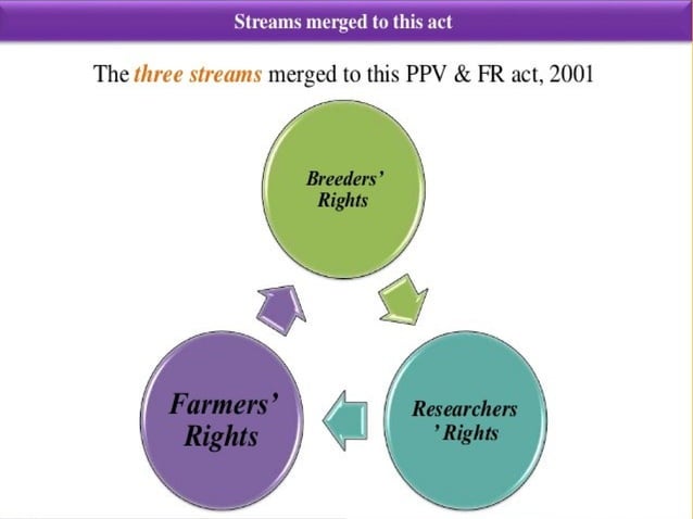 Seed policies (1) | PPT