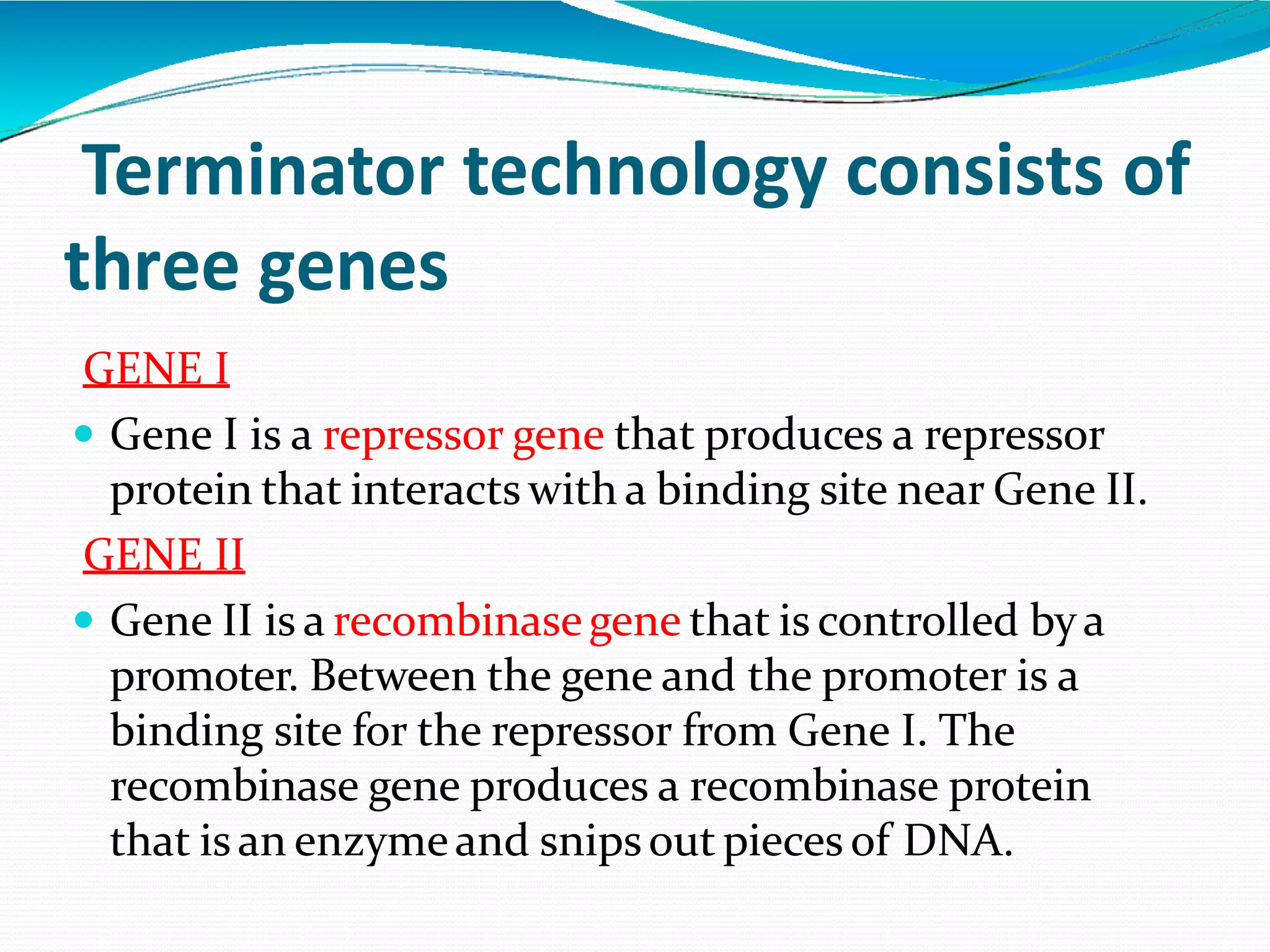 TERMINATOR SEED TECHNOLOGY | PPTX