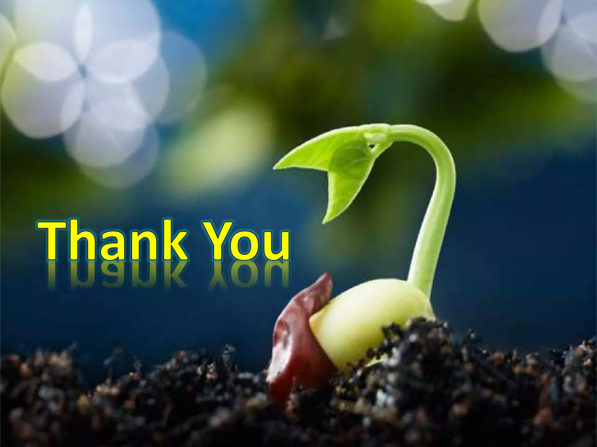 TERMINATOR SEED TECHNOLOGY | PPTX