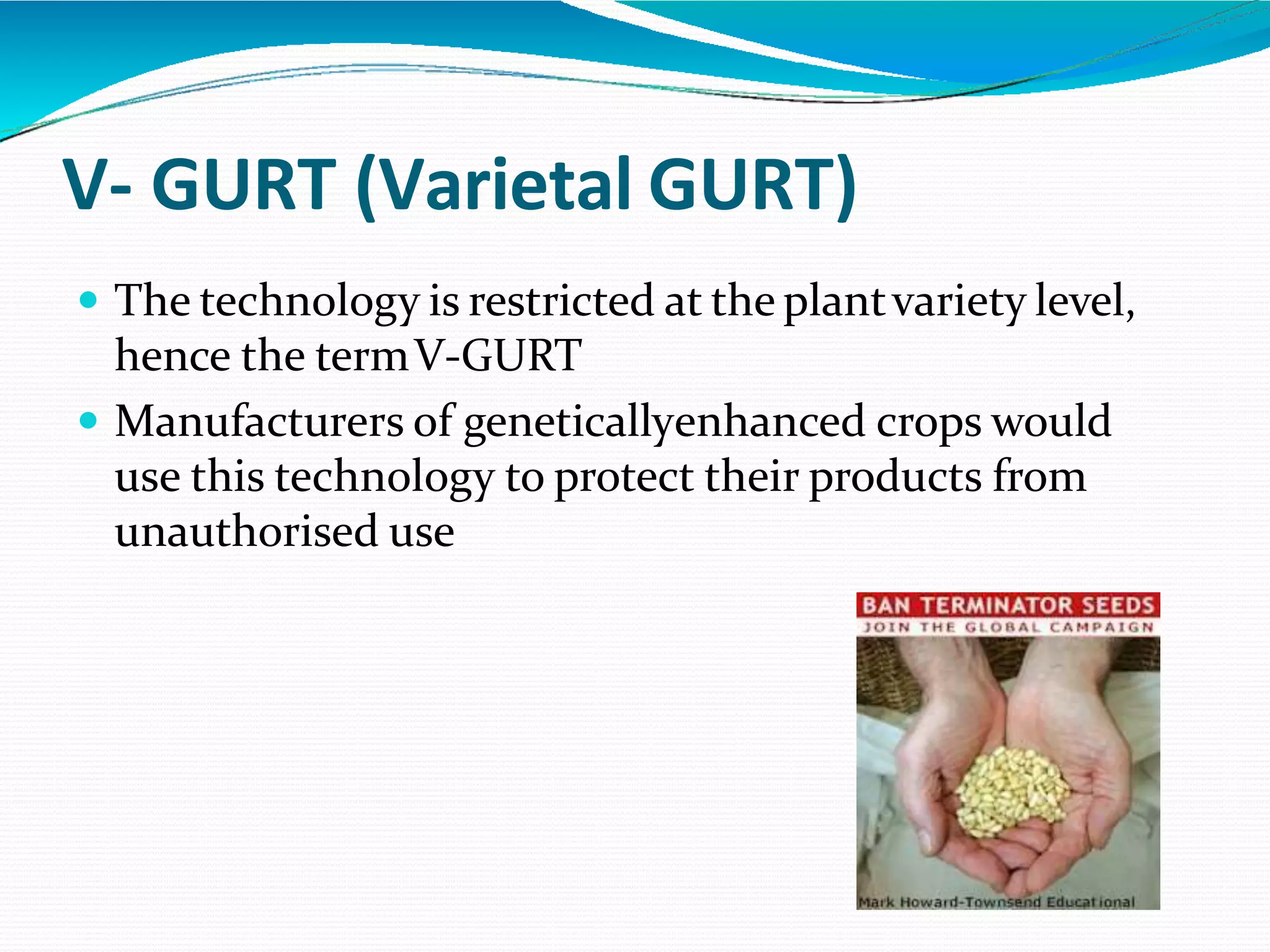 TERMINATOR SEED TECHNOLOGY | PPTX