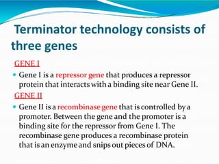 TERMINATOR SEED TECHNOLOGY | PPTX